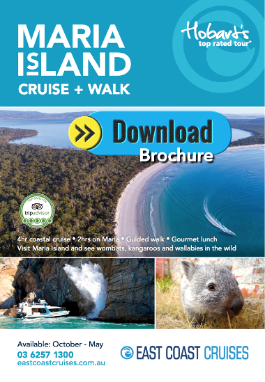 Maria Island Cruise & Walk